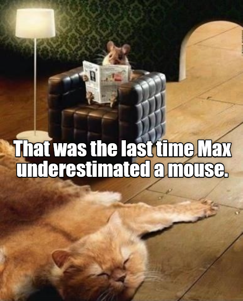 Trophy Hunter - Lolcats - lol | cat memes | funny cats | funny cat ...