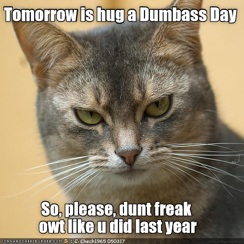 And dunt git teh cops involved agin - Lolcats - lol | cat memes | funny ...