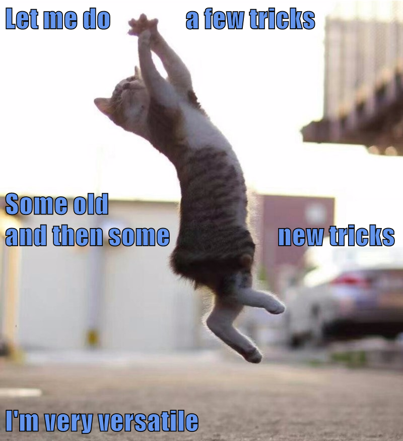 Lolcats - old - LOL at Funny Cat Memes - Funny cat pictures with words ...