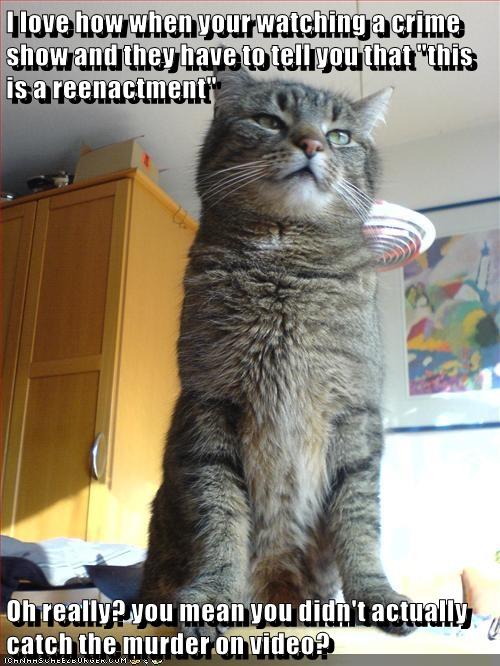Lolcats - crime - LOL at Funny Cat Memes - Funny cat pictures with ...