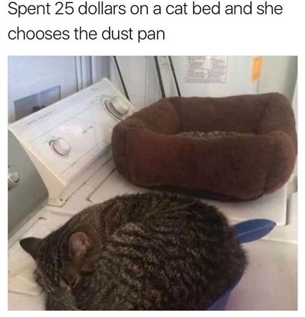 If it fits... - Memebase - Funny Memes