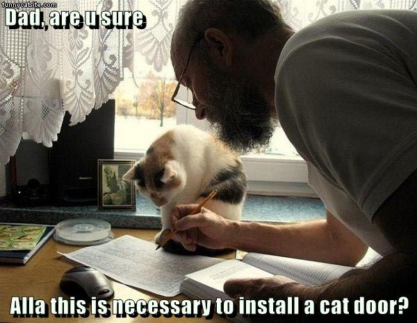 Lolcats - dad - LOL at Funny Cat Memes - Funny cat pictures with words ...