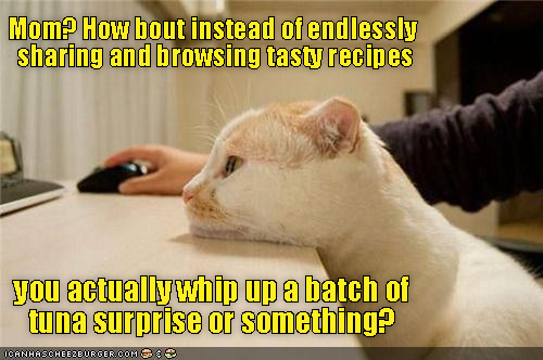 The cat has a point - Lolcats - lol | cat memes | funny cats | funny ...