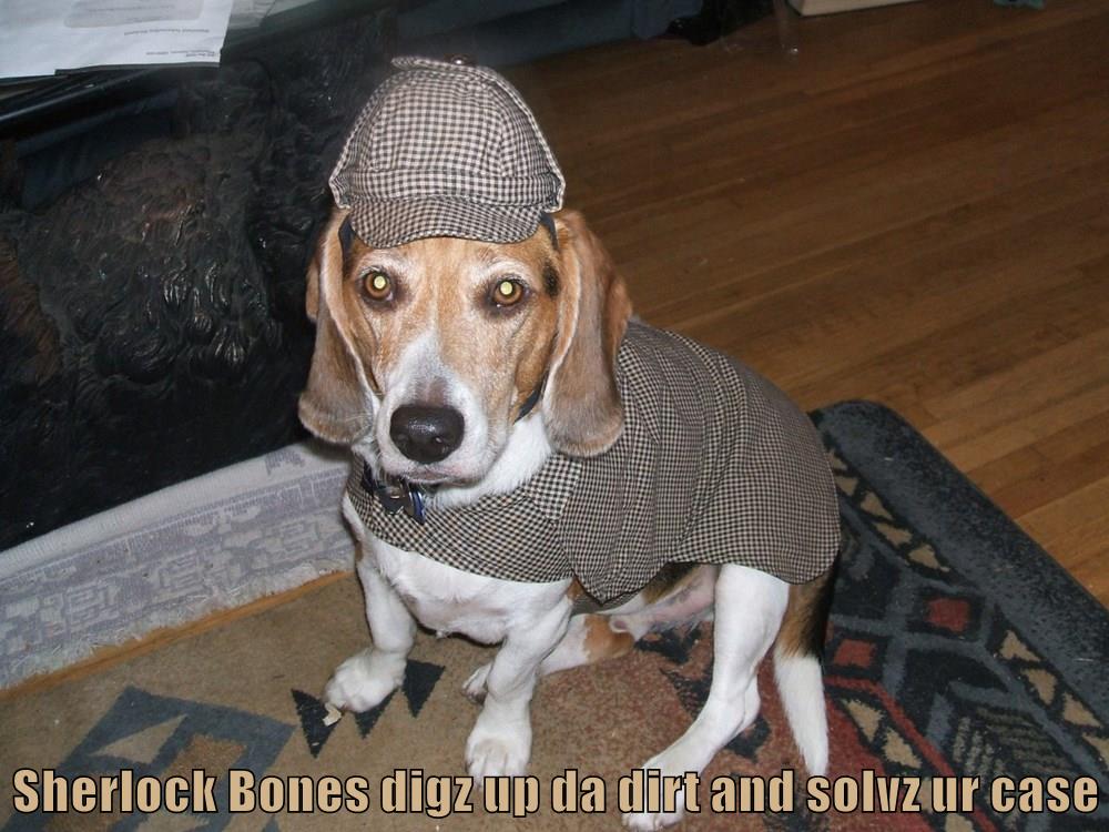 Sherlock Bones - Animal Comedy - Animal Comedy, funny animals, animal gifs