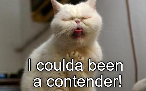 Watch out Marlon Brando! - Lolcats - lol | cat memes | funny cats ...