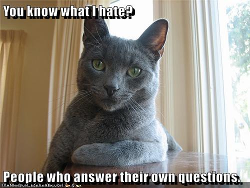 Aha... - Lolcats - lol | cat memes | funny cats | funny cat pictures ...