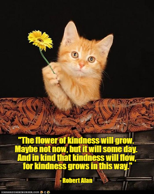 Kindness - Lolcats - lol | cat memes | funny cats | funny cat pictures ...