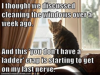 A kind reminder - Lolcats - lol | cat memes | funny cats | funny cat ...