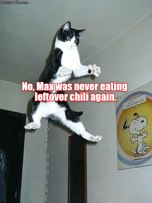 Never Ever - Lolcats - lol | cat memes | funny cats | funny cat ...