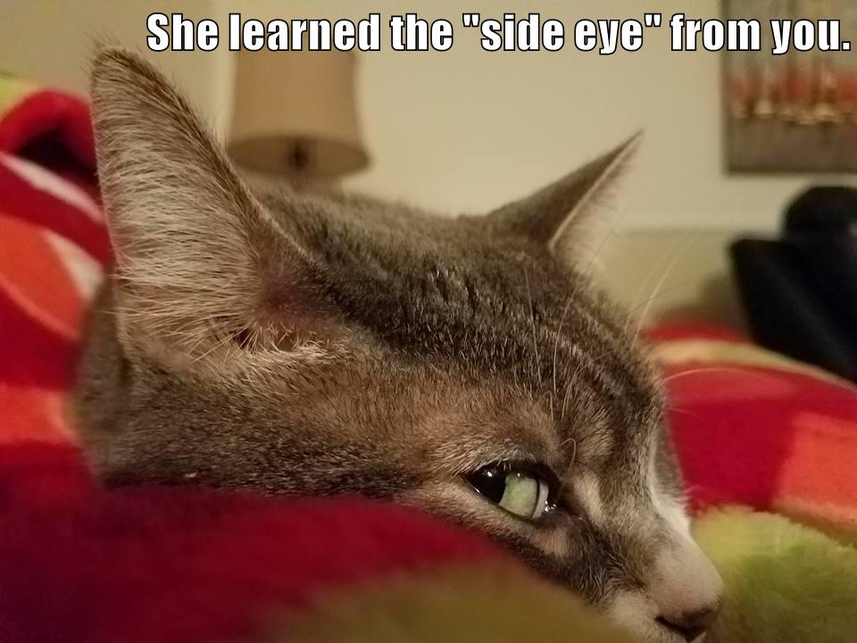 She learned the 