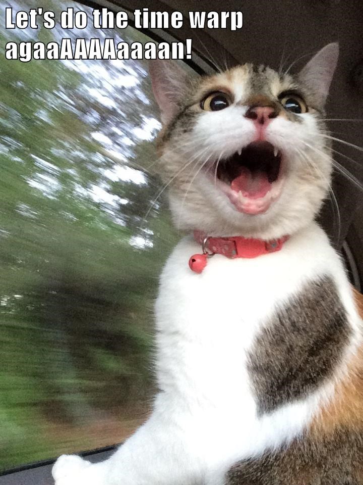 There's a song for every occasion - Lolcats - lol | cat memes | funny ...