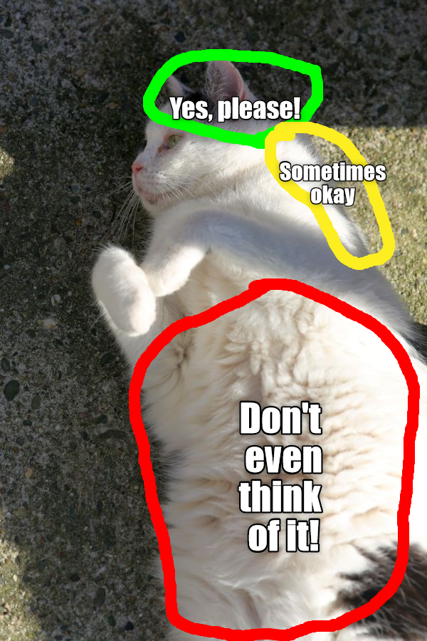 Kitteh Petting Chart - Lolcats - lol | cat memes | funny cats | funny ...