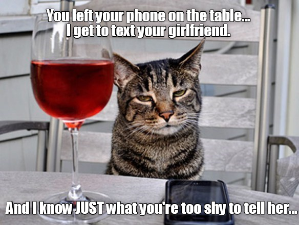 Them's the rules, man... - Lolcats - lol | cat memes | funny cats ...