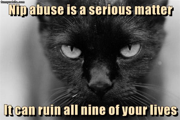 All nine lives. - I Can Has Cheezburger?