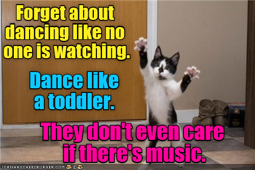 Lolcats - Music - LOL at Funny Cat Memes - Funny cat pictures with ...