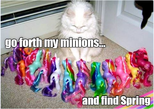 KKPS surch for Spring - Lolcats - lol | cat memes | funny cats | funny ...