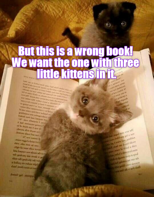 who lost their mittens? - Lolcats - lol | cat memes | funny cats ...