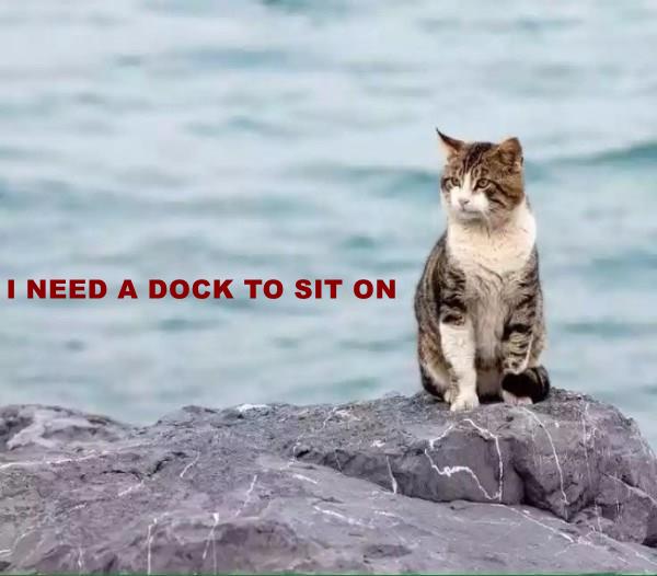 I NEED A DOCK TO SIT ON - Lolcats - lol | cat memes | funny cats ...