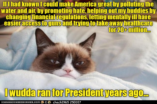 Lolcats - guns - LOL at Funny Cat Memes - Funny cat pictures with words ...