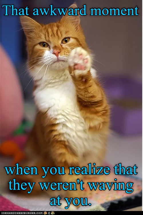 Lolcats - Awkward - LOL at Funny Cat Memes - Funny cat pictures with ...