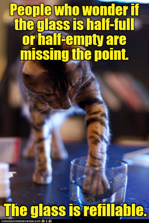 Lolcats - empty - LOL at Funny Cat Memes - Funny cat pictures with ...