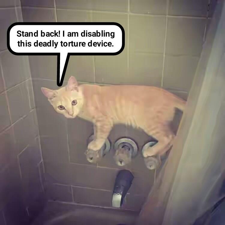 kitty is concerned for your welfare - Lolcats - lol | cat memes | funny ...