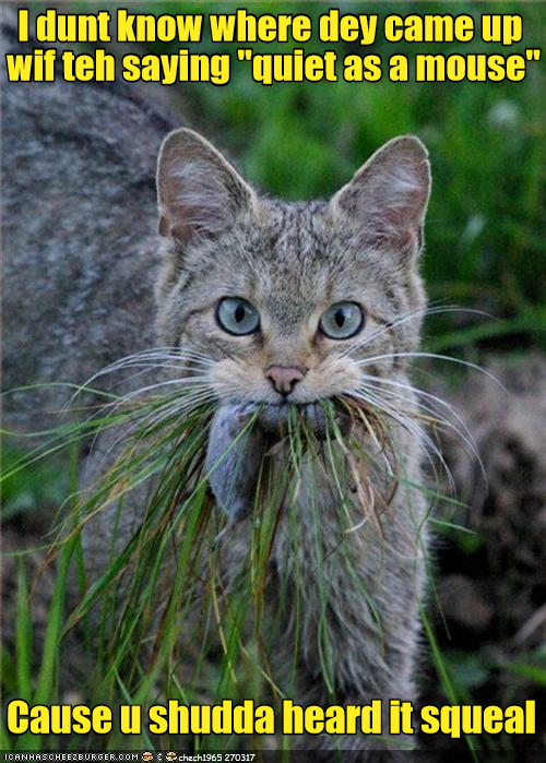 I wanted 2 hab it ober for lunch... - Lolcats - lol | cat memes | funny ...