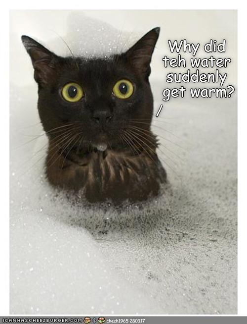 Lolcats - warm - LOL at Funny Cat Memes - Funny cat pictures with words ...