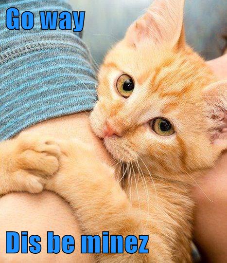 Go way Dis be minez - Lolcats - lol | cat memes | funny cats | funny ...
