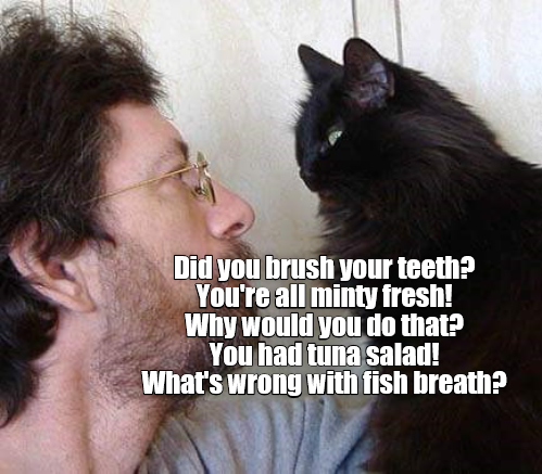Lolcats - teeth - LOL at Funny Cat Memes - Funny cat pictures with ...