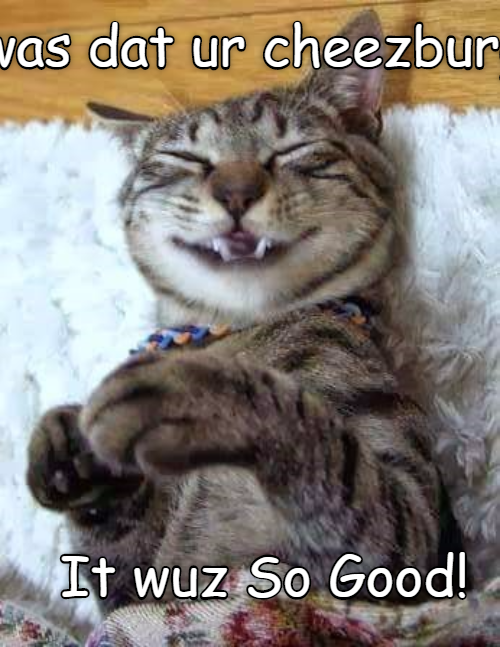 Was dat ur cheezburger? - Lolcats - lol | cat memes | funny cats ...