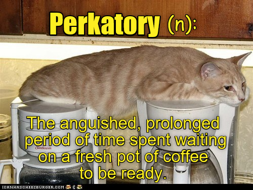 Lolcats - waiting - LOL at Funny Cat Memes - Funny cat pictures with ...