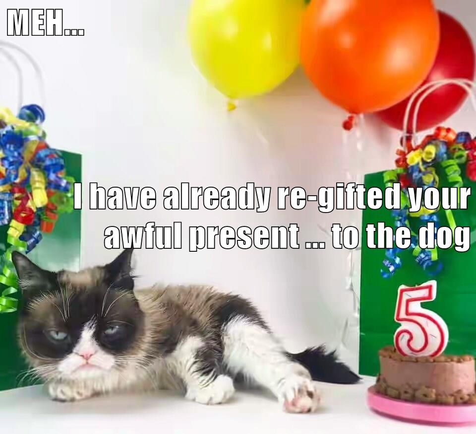 MEH... - Lolcats - lol | cat memes | funny cats | funny cat pictures ...