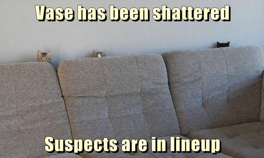 The Usual Suspects - Lolcats - lol | cat memes | funny cats | funny cat ...
