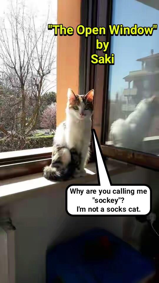 "The Open Window" - Lolcats - lol | cat memes | funny cats | funny cat ...