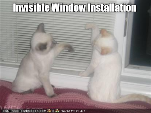 Lolcats - window - LOL at Funny Cat Memes - Funny cat pictures with ...