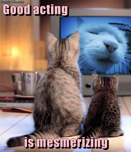 Good acting is mesmerizing - Lolcats - lol | cat memes | funny cats ...