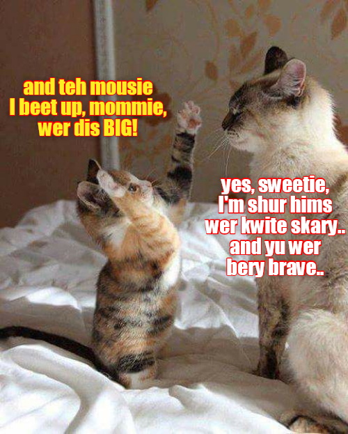 Storytelling.. the big adventure.. - Lolcats - lol | cat memes | funny ...