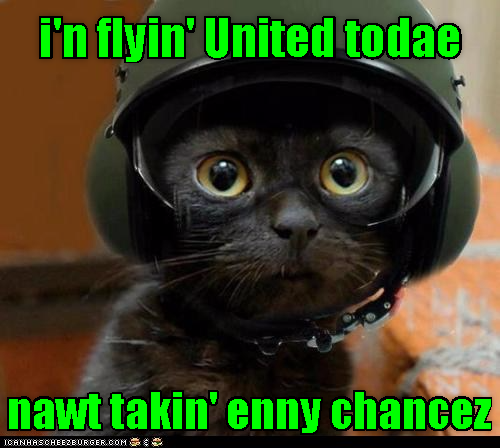 Funny Pictures Of Cats Without Captions