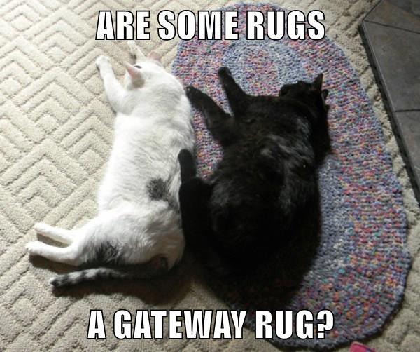 RUGS - Lolcats - lol | cat memes | funny cats | funny cat pictures with ...