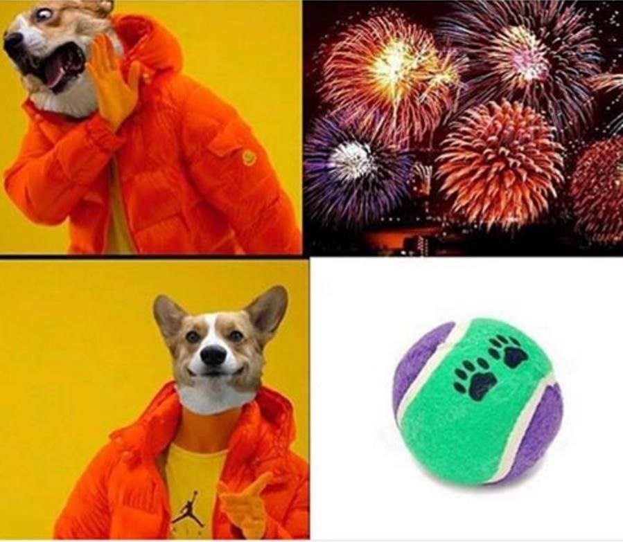 Ball is Life - Memebase - Funny Memes