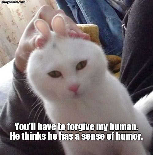 Big long-suffering sigh - Lolcats - lol | cat memes | funny cats ...