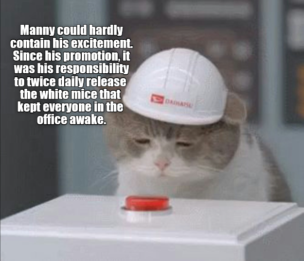 Assistant Director in charge of Mouse Wrangling - Lolcats - lol | cat memes | funny cats | funny ...