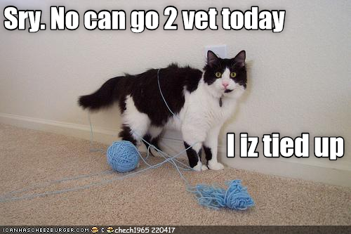 Lolcats - vet - LOL at Funny Cat Memes - Funny cat pictures with words ...