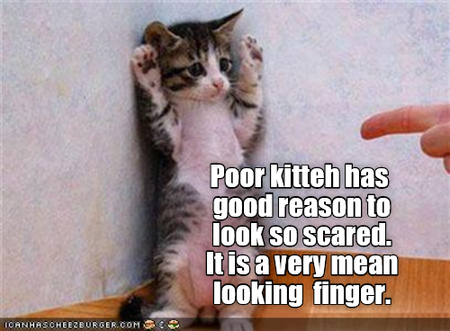 Lolcats - scared - LOL at Funny Cat Memes - Funny cat pictures with ...