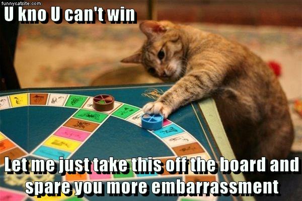 Spare the embarrassment - Lolcats - lol | cat memes | funny cats ...