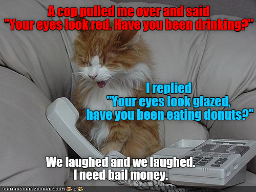 Lolcats - drinking - LOL at Funny Cat Memes - Funny cat pictures with ...
