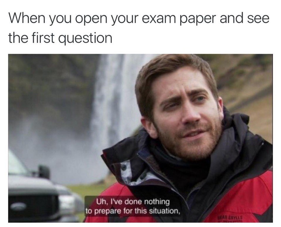 Welp Dog Memes 19 Dog Memes Because We Love Those Dumb Floofers