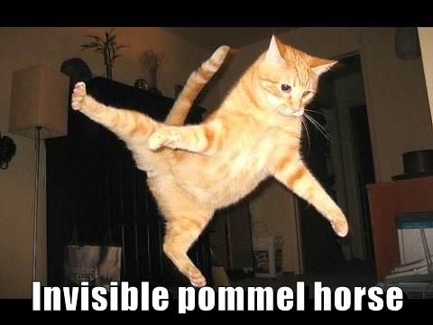 Invisible pommel horse - Lolcats - lol | cat memes | funny cats | funny ...