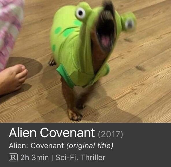 Can't Wait For This Blockbuster - Memebase - Funny Memes